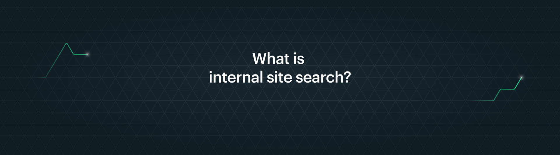 What is internal site search? | Everything you need to know