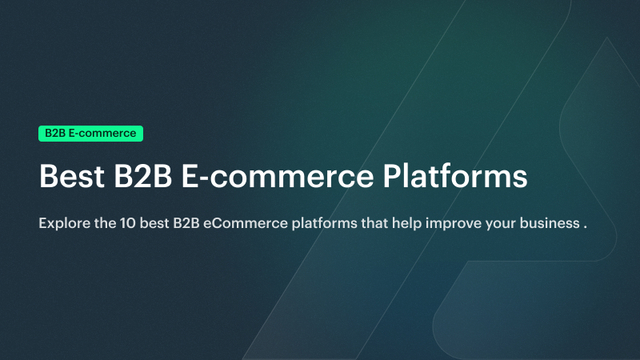 10 Best B2B E-commerce Platforms in 2024