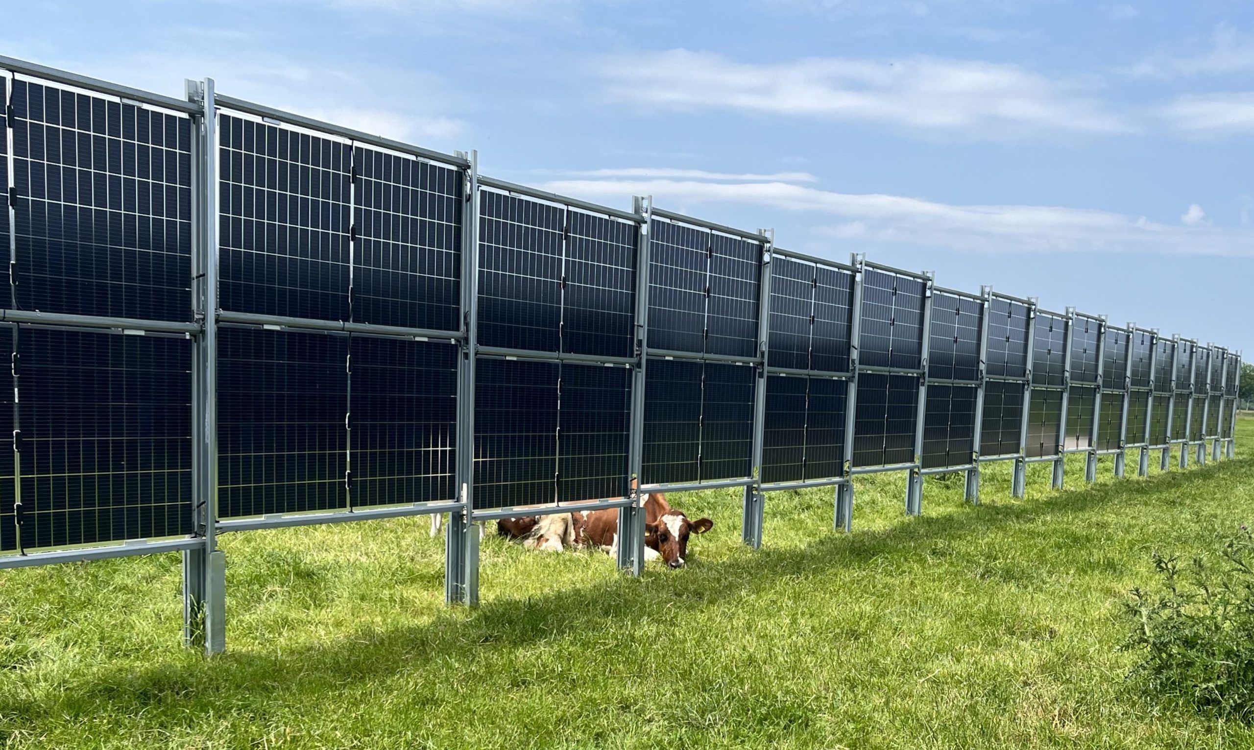 Eerste onderzoek naar combinatie zonnepark en melkveehouderij gestart ...