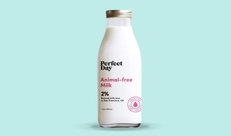 Lactose intolerant and vegans, synthetic milk arrives | Near future