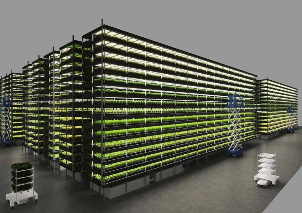 The largest vertical farm in Europe: robot factors and wind energy