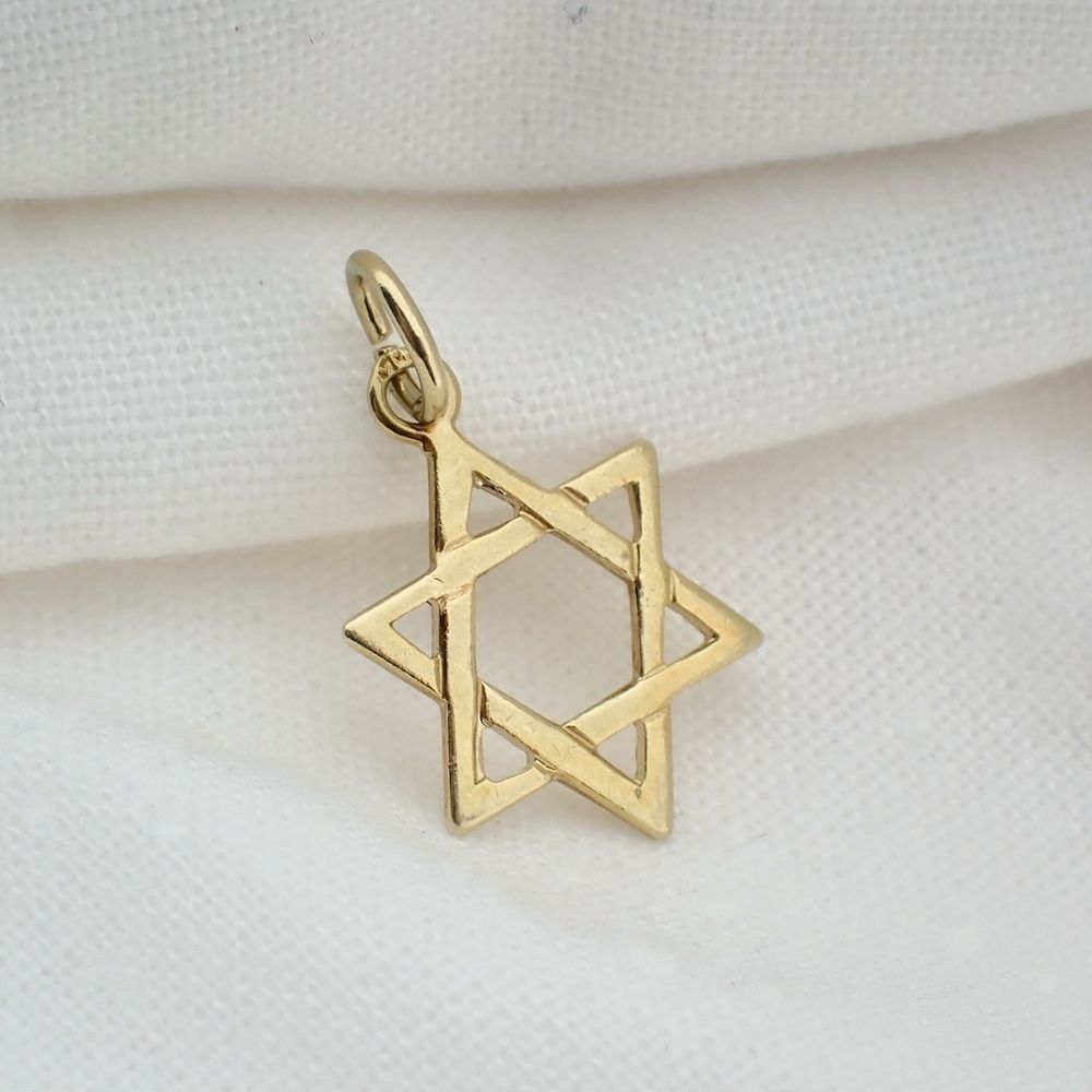 Gouden hanger van een Davidster | Juweelwinkel.nl