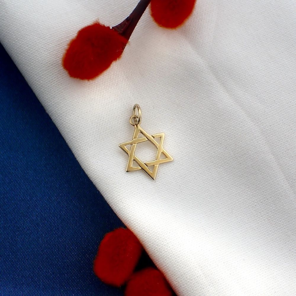 Gouden hanger van een Davidster | Juweelwinkel.nl