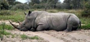 Namibija, na nomadski (NNN) - Nomadi, daleka putovanja i pustolovine