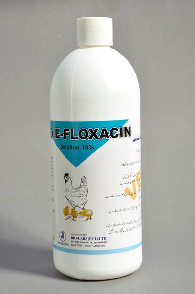 FLOXACIN 100MG/ML BIDON X 5 L: 701,27 lei - PetMart PetShop