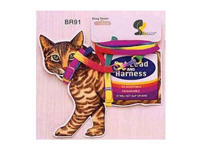 Ham + Lesa pisica BR 91 Card: 33,79 lei - PetMart PetShop