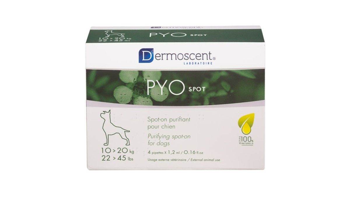 Dermoscent Pyo Spot Caine 10-20kg: 139,90 lei - PetMart PetShop