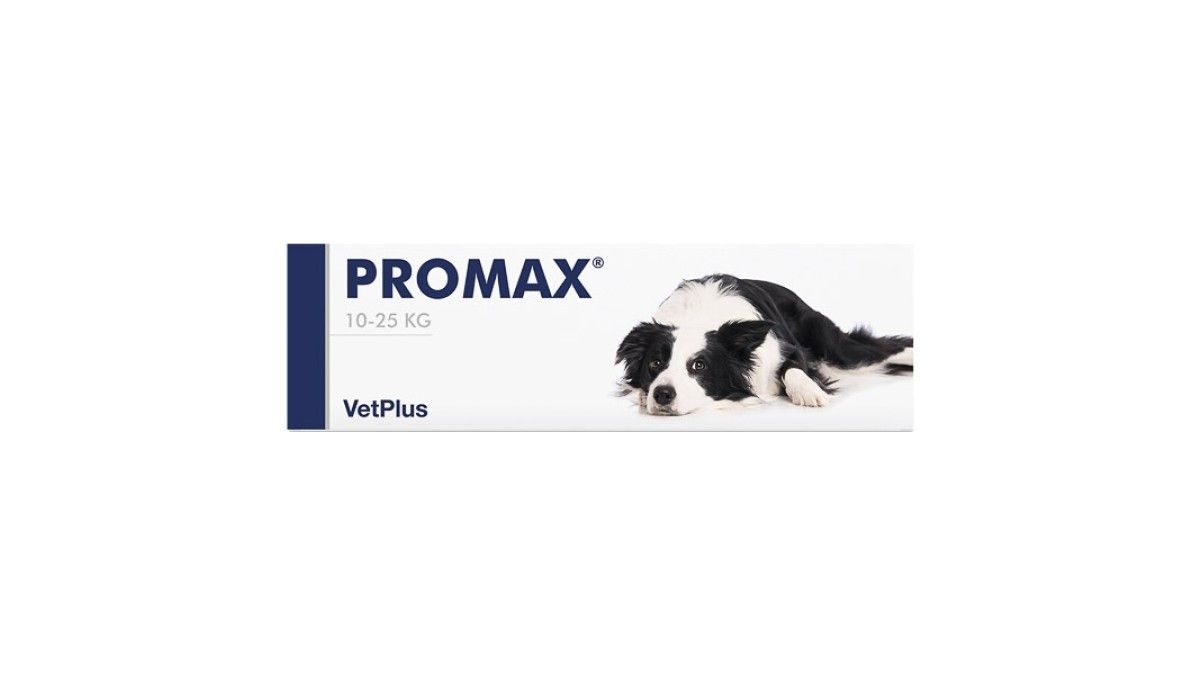 Promax Medium Breed, 10-25 kg: 77,16 lei - PetMart PetShop