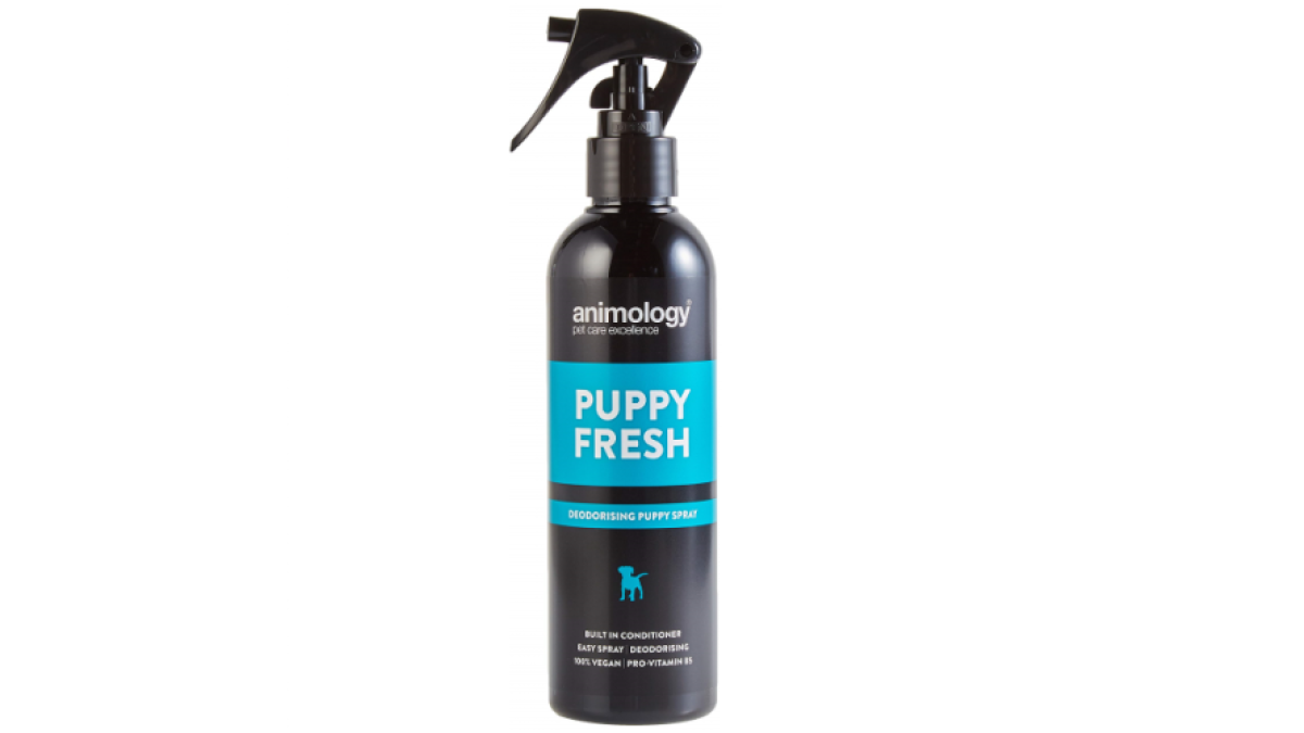 Spray pentru caini Animology Fresh Puppy, 250 ml: 36,60 lei - PetMart ...