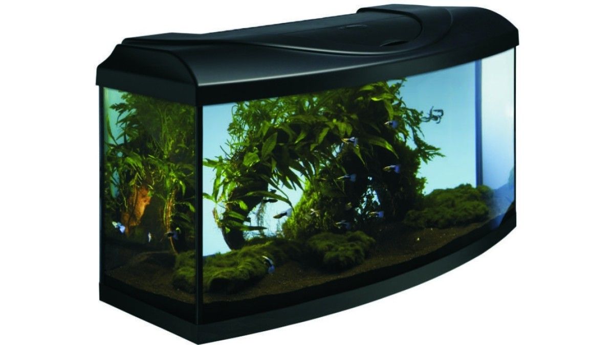 Acvariu Diversa 80 Curb Negru 112 L: 722,59 lei - PetMart PetShop