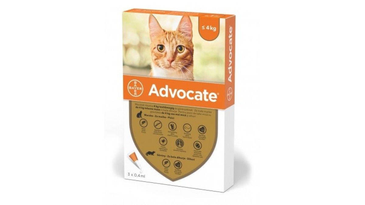 Advocate Cat 0-4 kg x 3 pipete: 146,00 lei - PetMart PetShop