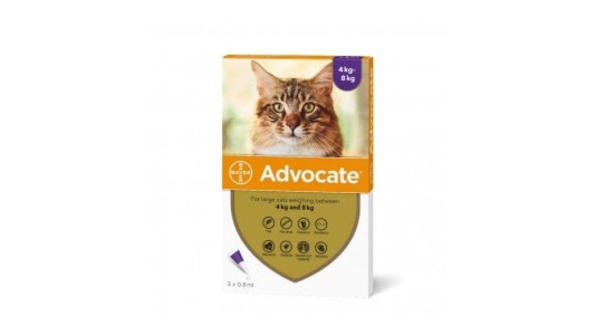 Advocate Cat 4-8 kg x 3 pipete: 177,57 lei - PetMart PetShop