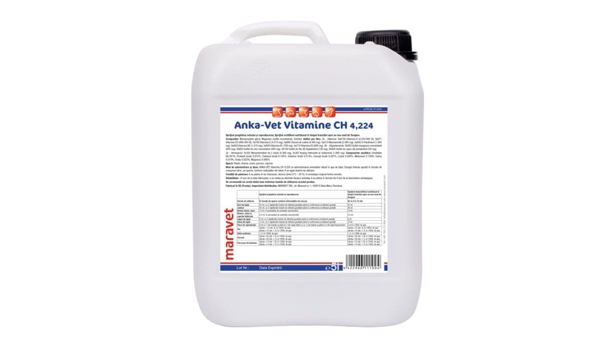 Anka-vet Vitamine CH 5 L: 273,94 lei - PetMart PetShop