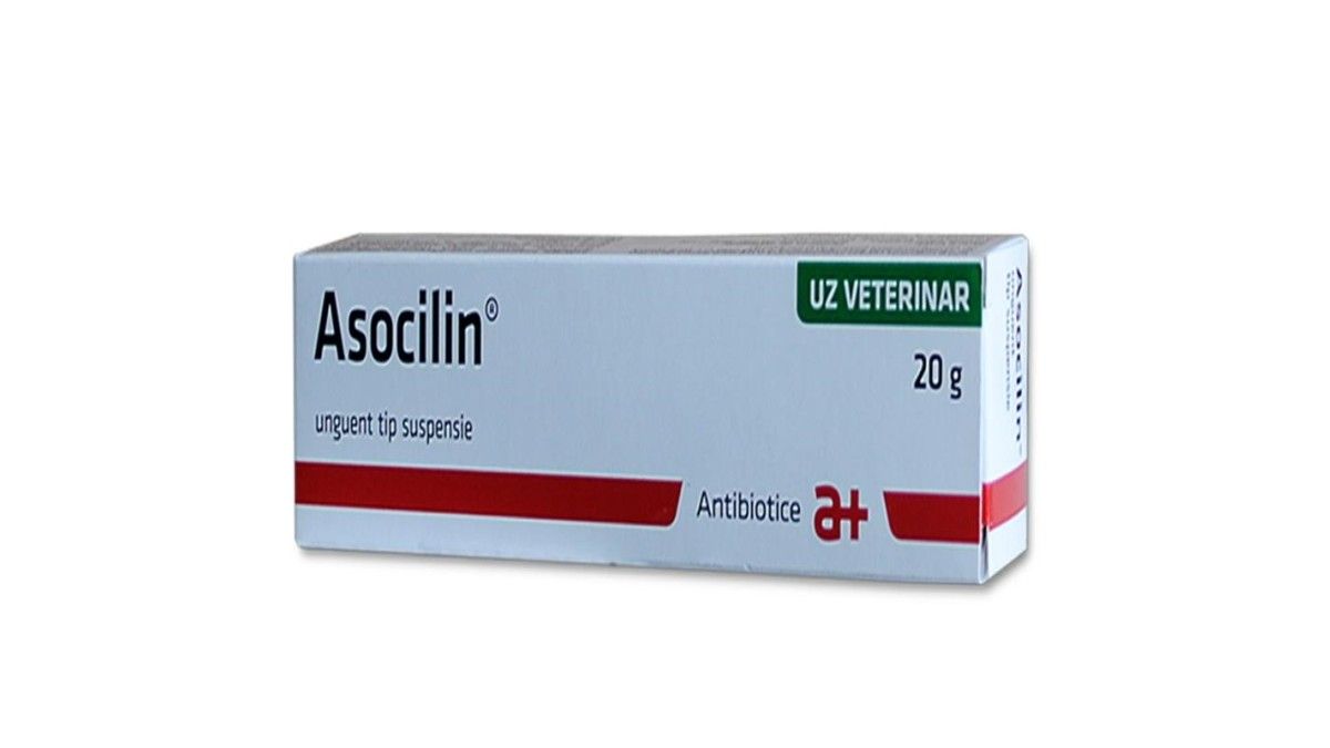 Asocilin 20 g - Unguent: 21,41 lei - PetMart PetShop
