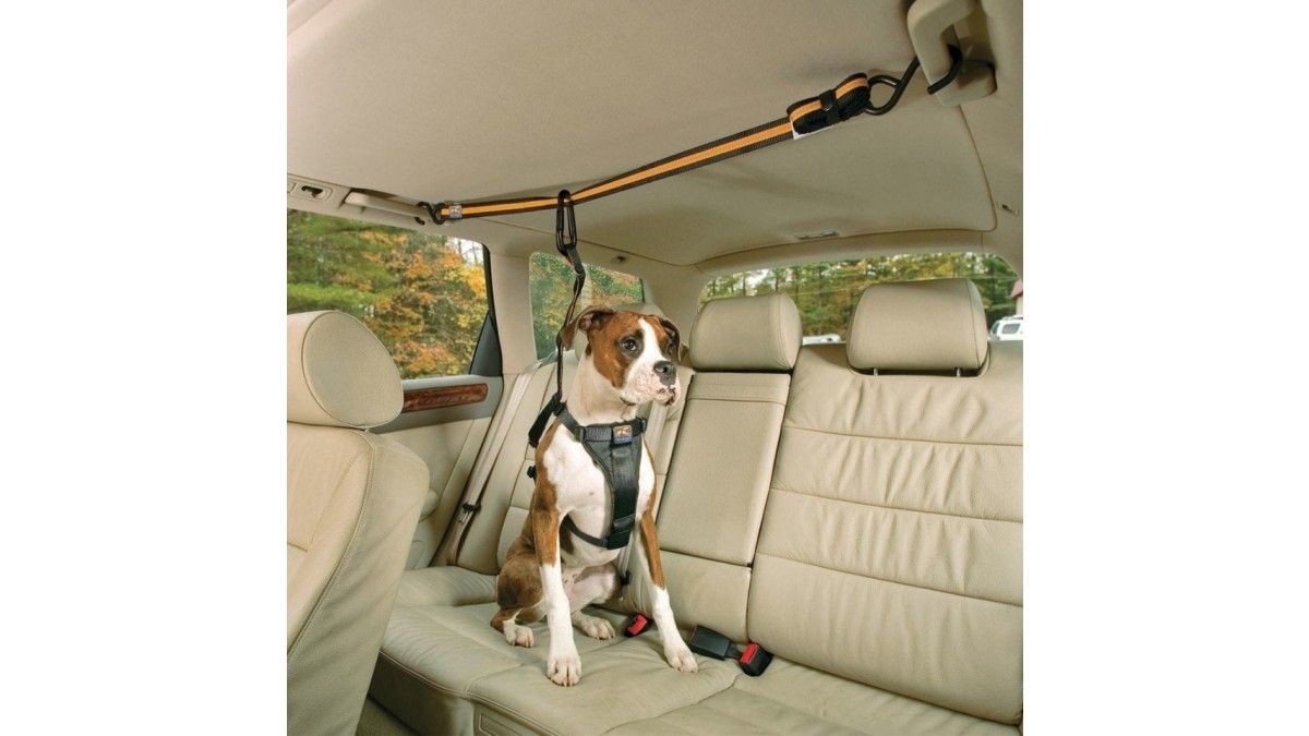 Auto Zip Line cu lesa: 118,43 lei - PetMart PetShop