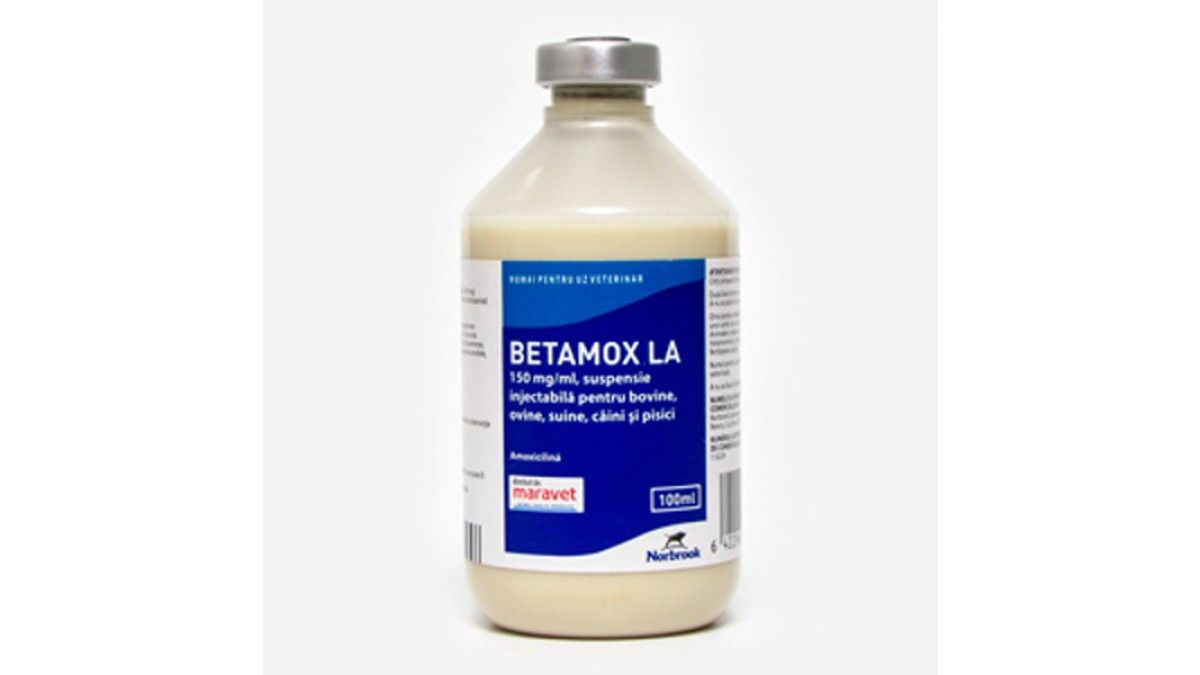 Betamox LA 100 ml: 45,17 lei - PetMart PetShop