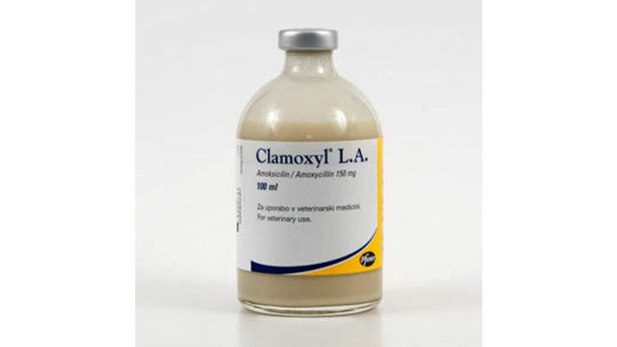 Clamoxyl LA 100 ml: 90,92 lei - PetMart PetShop