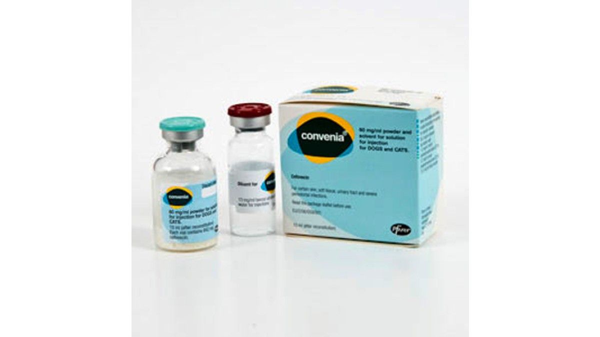 Convenia INJ 10 ml: 1.805,72 lei - PetMart PetShop