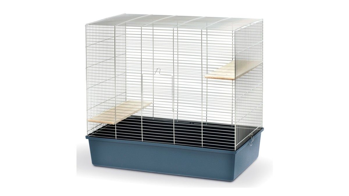 Cusca Chinchilla 80 Albastru / Argintiu, 80 x 45 x 75 cm: 263,66 lei ...