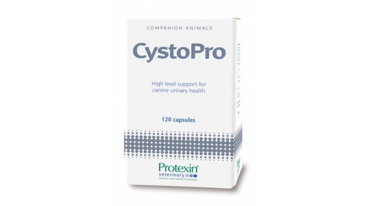 Cystopro, 120 capsule: 355,11 lei - PetMart PetShop
