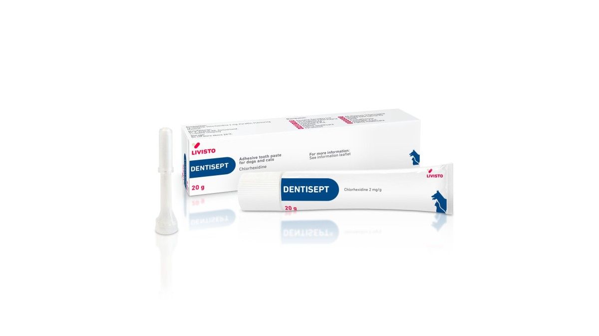 Dentisept Gel, 20 g: 44,10 lei - PetMart PetShop