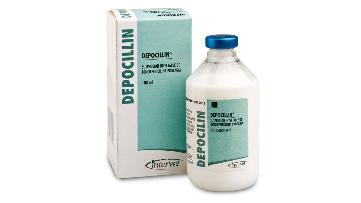 Depocilin 100 ml: 51,12 lei - PetMart PetShop