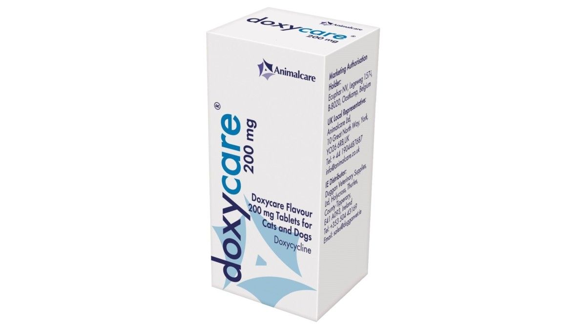 Doxycare, 200 mg/ 250 tablete: 1.444,87 lei - PetMart PetShop