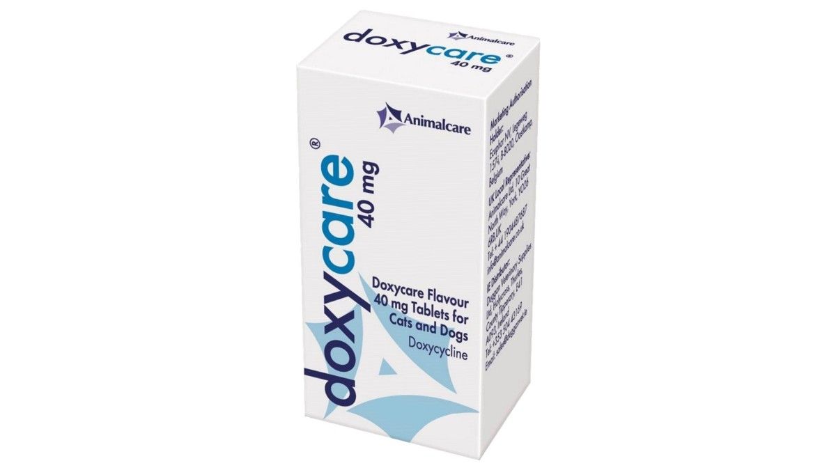 Doxycare, 40 mg/ 10 tablete: 36,38 lei - PetMart PetShop