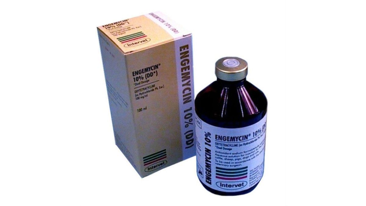 Engemycin 10% 100 ml: 60,09 lei - PetMart PetShop