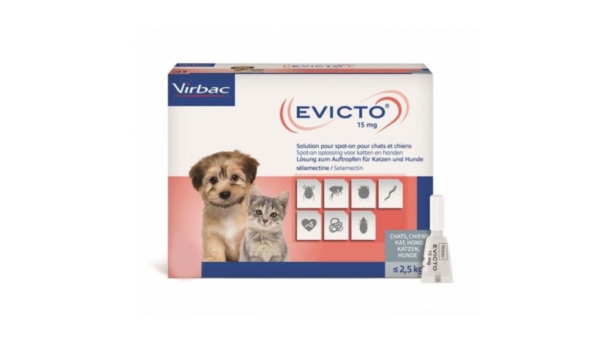 Evicto 15 mg pipete antiparazitare pentru caini si pisici