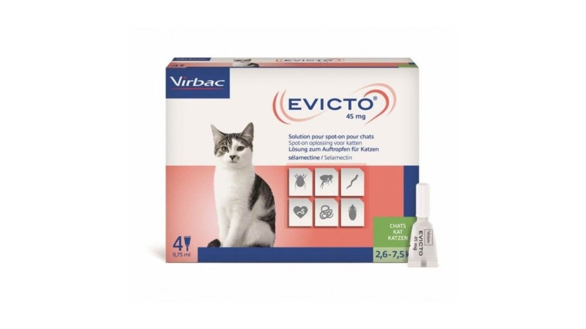 Evicto 45 mg pipete antiparazitare pentru pisici (2.6 - 7.5 kg) 4 ...