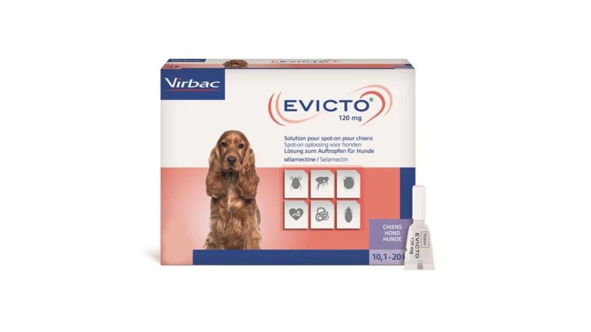 Evicto 120 mg pipete antiparazitare câini talie medie (10.1 - 20.0 kg ...