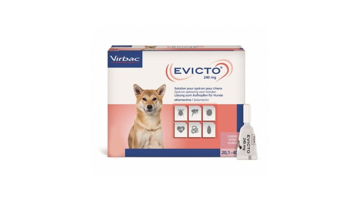 Evicto 240 mg pipete antiparazitare câini talie mare (20.1 - 40.0 kg) 4 ...