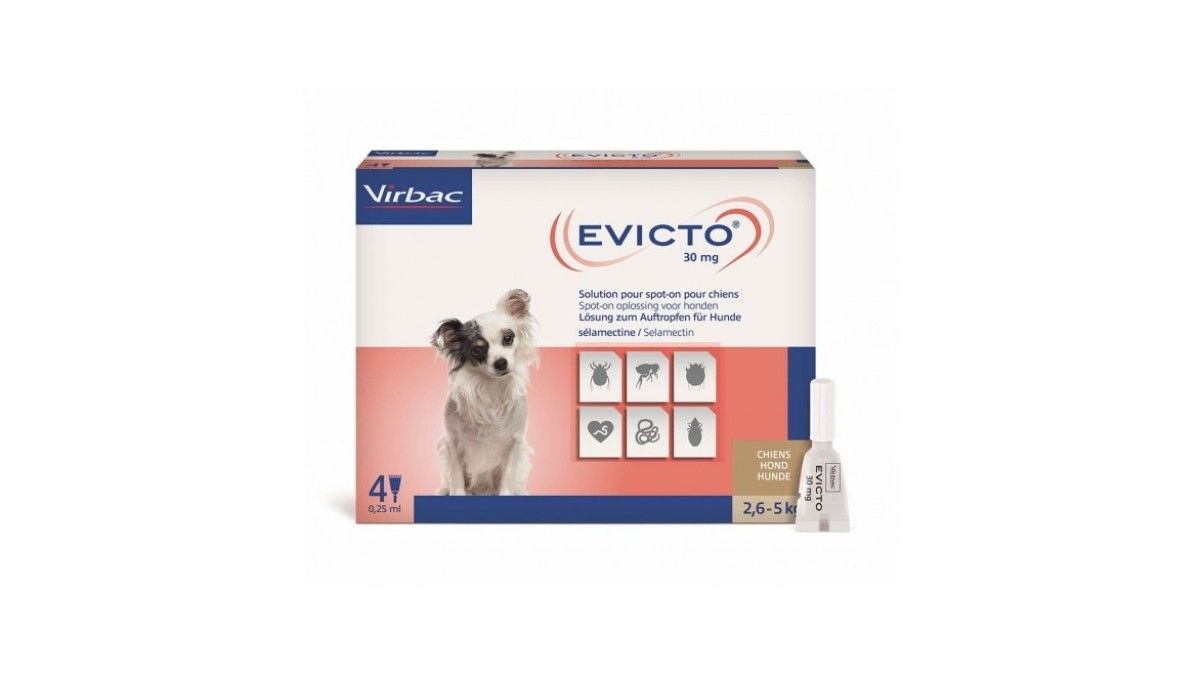 Evicto 30 mg pipete antiparazitare câini talie mica (2.6 - 5.0 kg) 4 ...