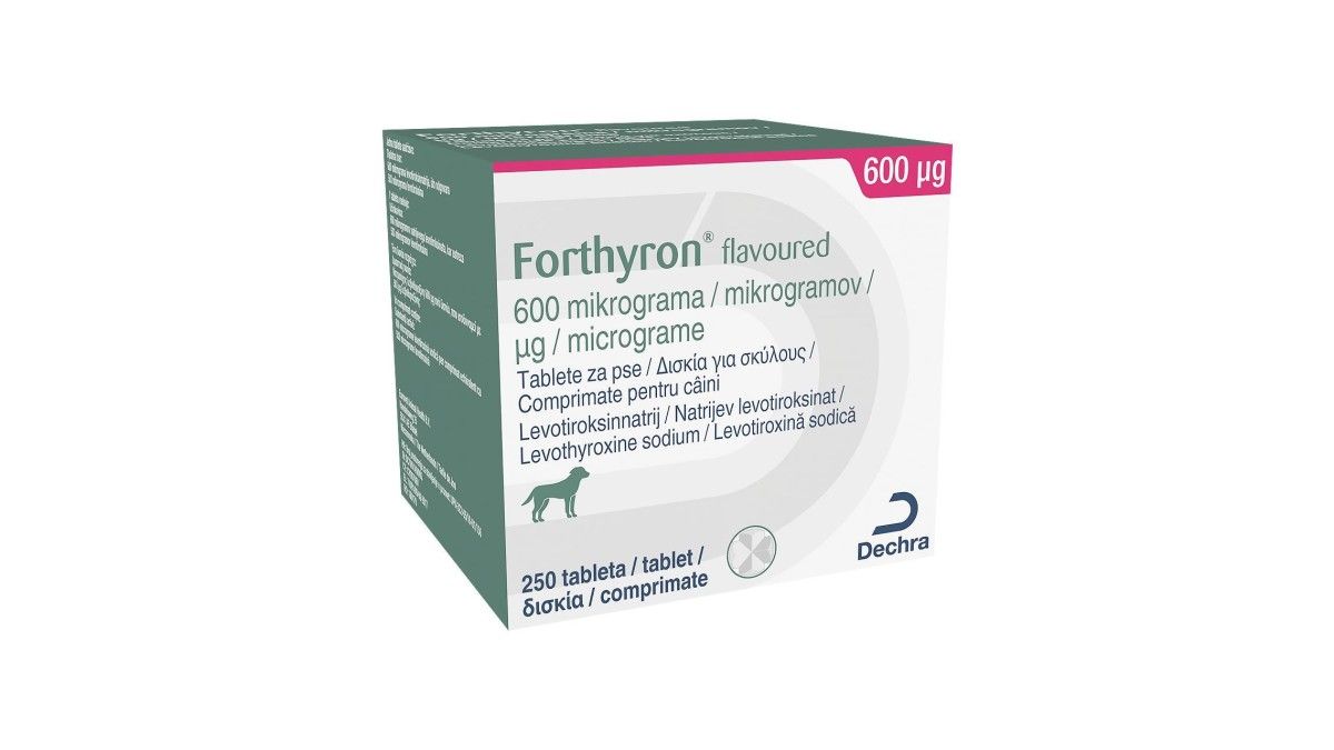 Forthyron Tratament Hipotiroidism Canin, 600 mcg x 50 tablete ...