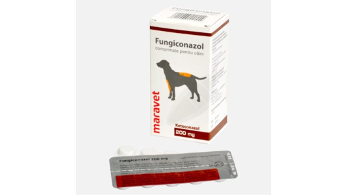 Fungiconazol 200 mg, 20 comprimate: 106,05 lei - PetMart PetShop