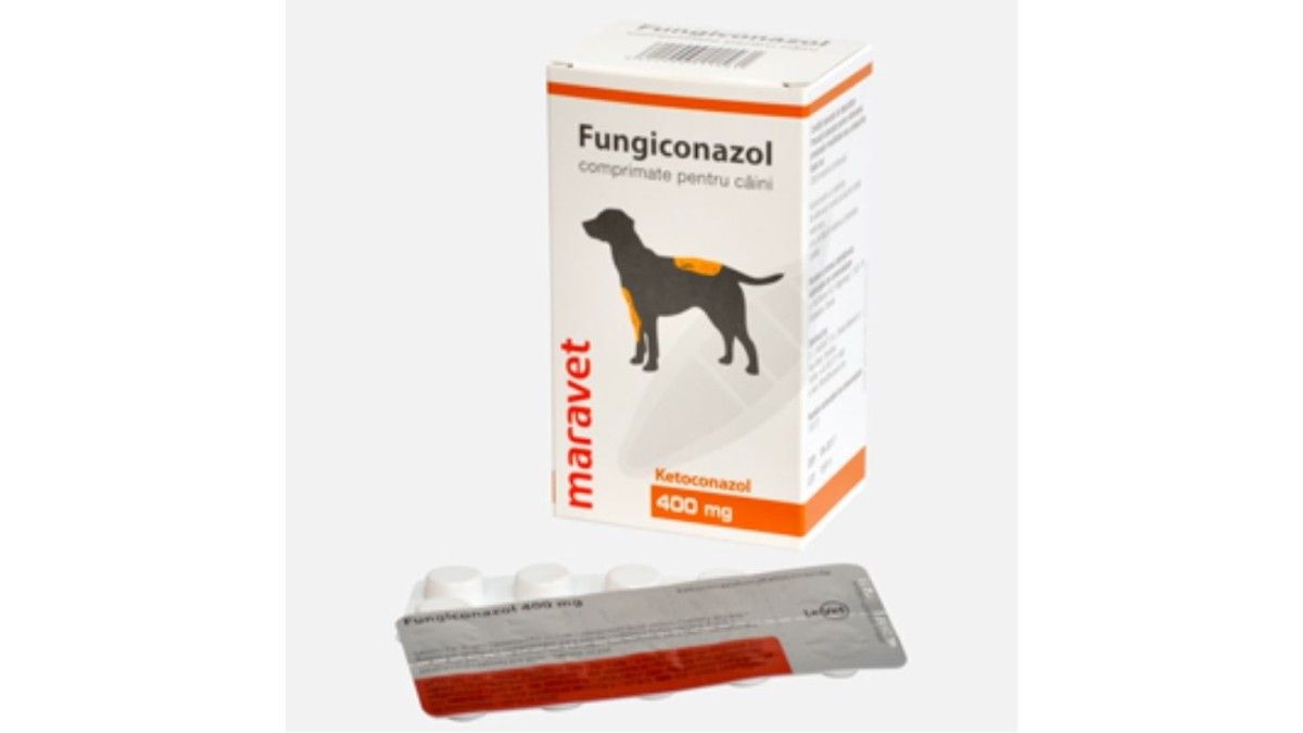 Fungiconazol 400 mg, 20 comprimate: 139,18 lei - PetMart PetShop