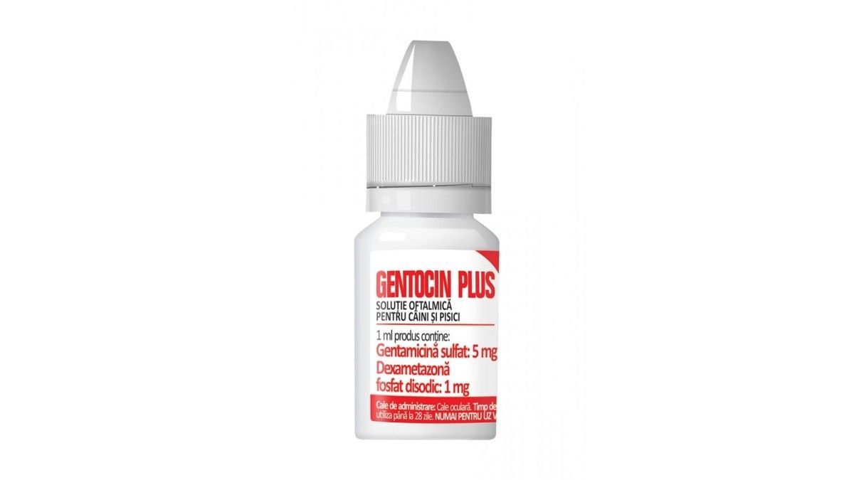 Gentocin Plus, 7.5 ml: 26,05 lei - PetMart PetShop