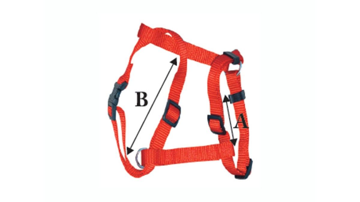 Ham caine nylon 10 mm: 19,28 lei - PetMart PetShop