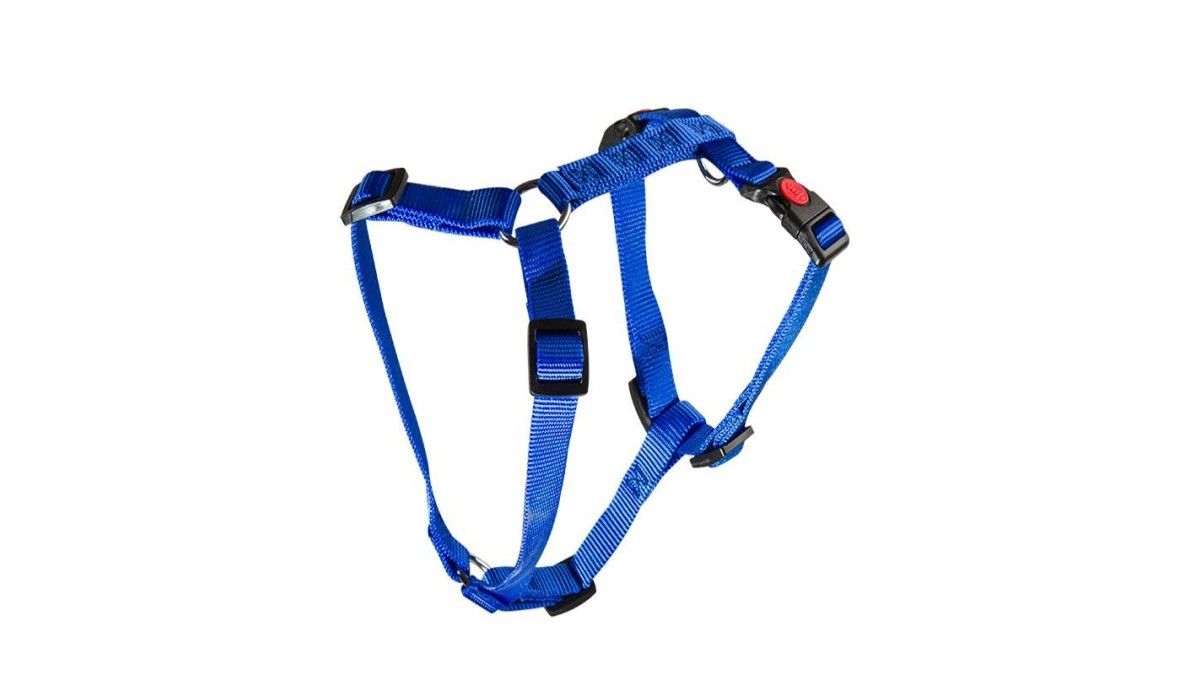 Ham Caini 3x Ajustabil Nylon Blue Click 20 mm x 40-70 cm: 36,44 lei ...