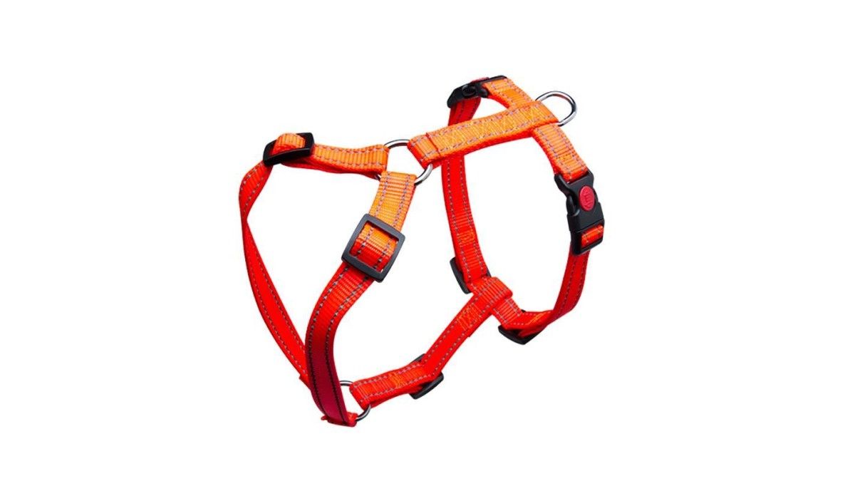 Ham Caini 3x Ajustabil Nylon Orange Reflectorizant Click 15 mm x 30-50 ...