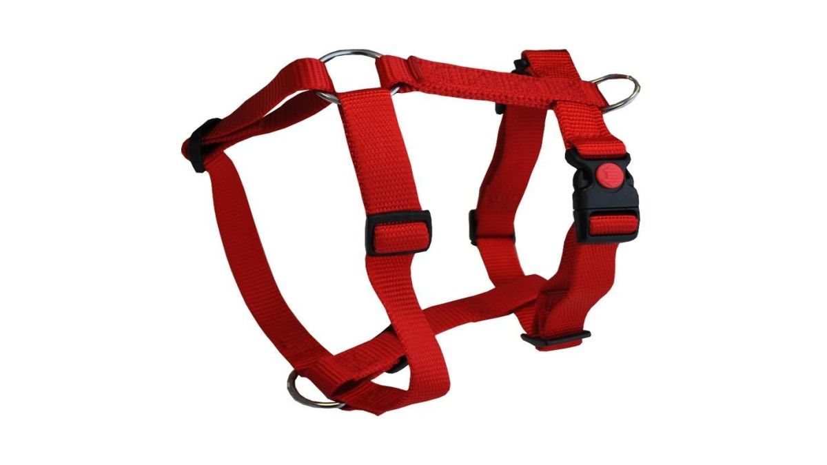 Ham Caini 3x Ajustabil Nylon Rosu Click 25 mm x 65-100 cm: 47,14 lei ...