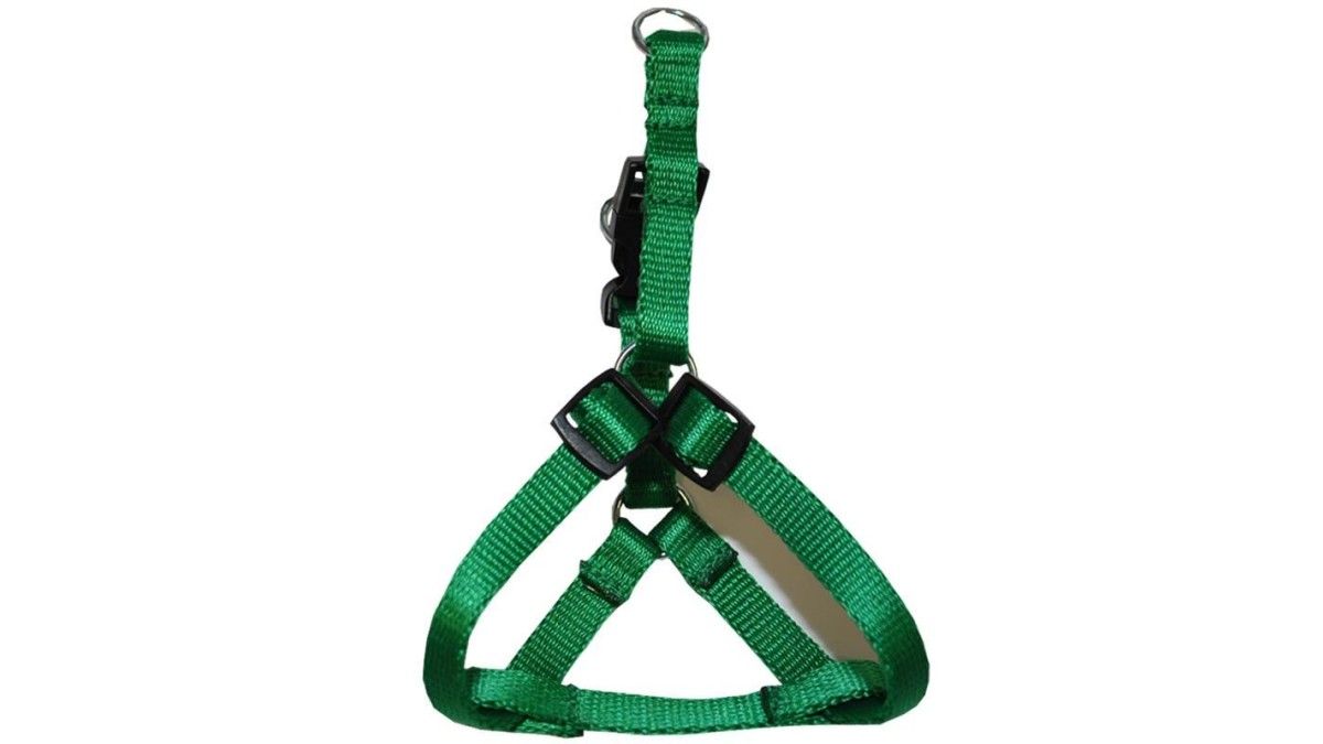 Ham Pentru Caini Nylon Milan Click 22-30 cm: 42,48 lei - PetMart PetShop