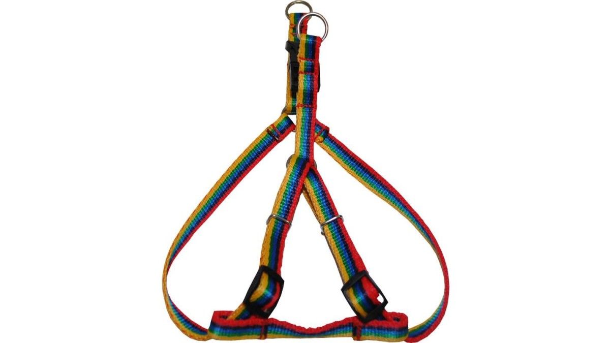 Ham Pentru Caini Nylon Milan Click 35-50 cm: 46,50 lei - PetMart PetShop