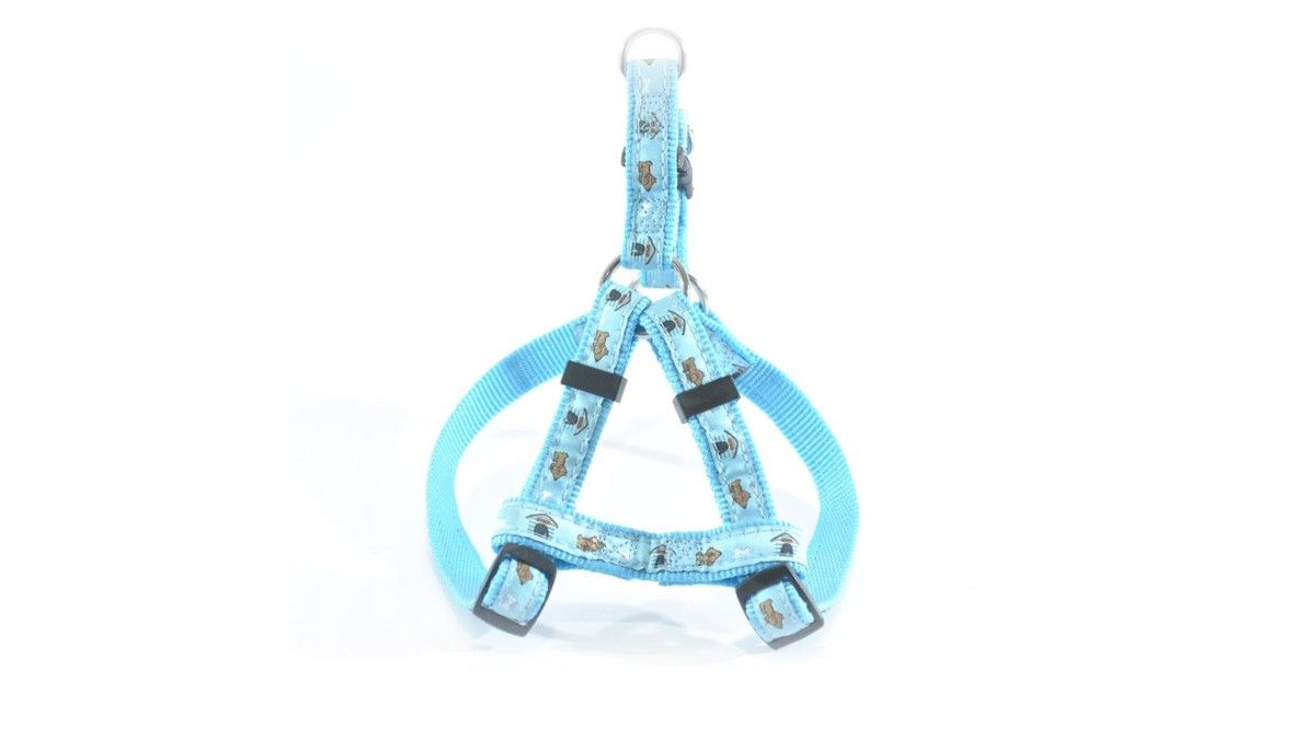 Ham Caini Nylon Mol Model Light Blue Click 20 mm x 40-70 cm: 49,50 lei ...
