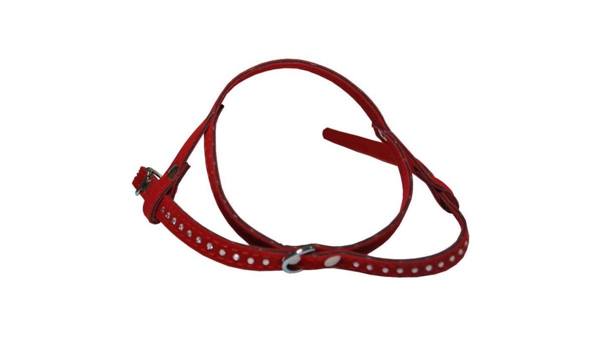 Ham Velur pentru Caini Milan Strasuri 1 Rand 35 cm: 37,51 lei - PetMart ...