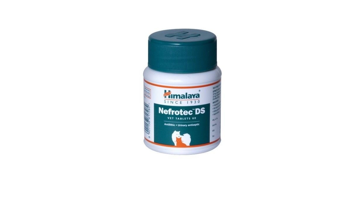 Himalaya Nefrotec DS, 60 tablete: 81,78 lei - PetMart PetShop
