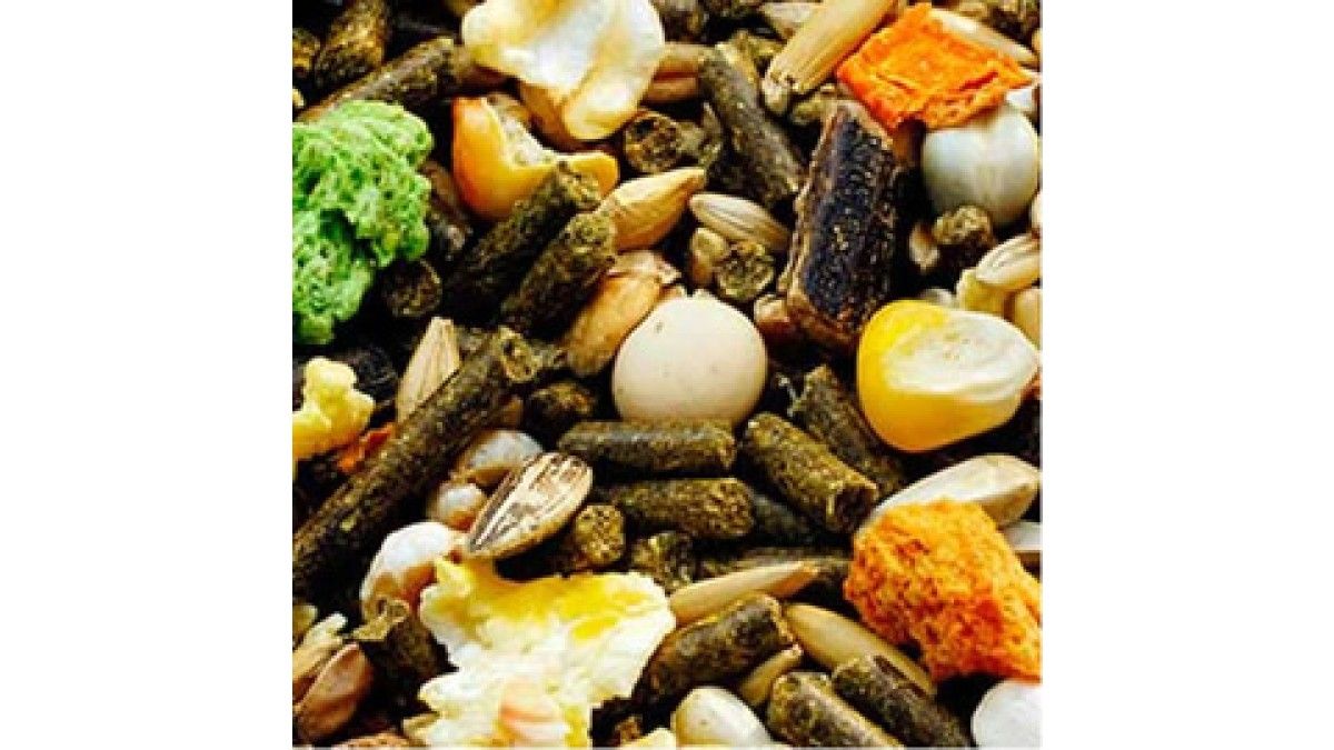 GARVO HRANA IEPURI RABBIT WITH CARROTFLAKES 20 KG 5081: 97,77 lei ...