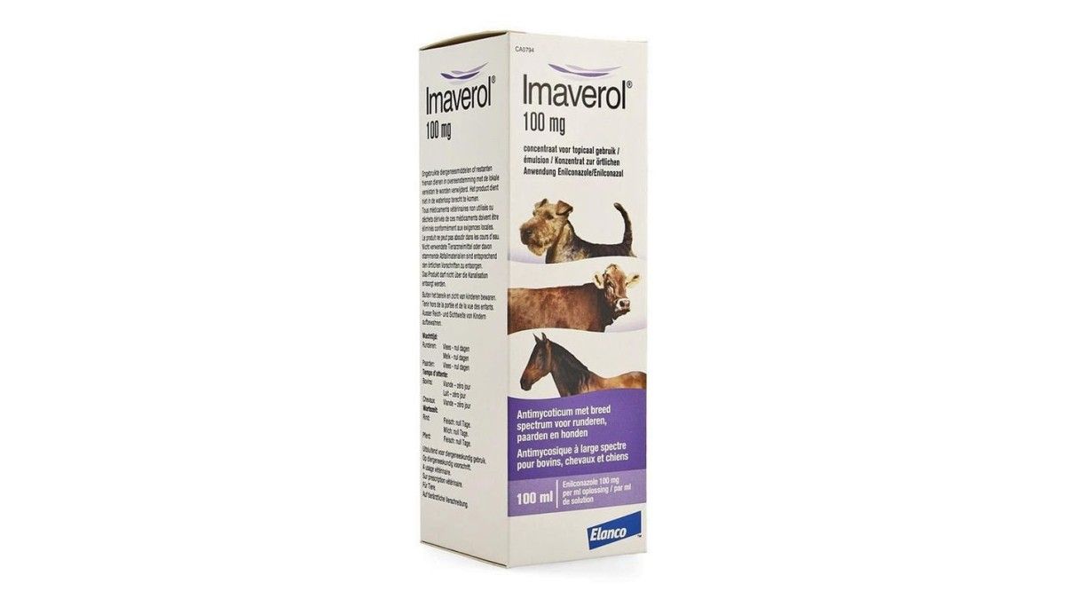 Imaverol, 100 ml: 155,76 lei - PetMart PetShop