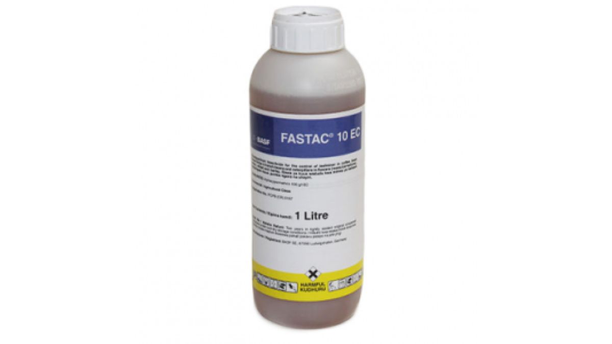 FASTAC 1L: 244,22 lei - PetMart PetShop